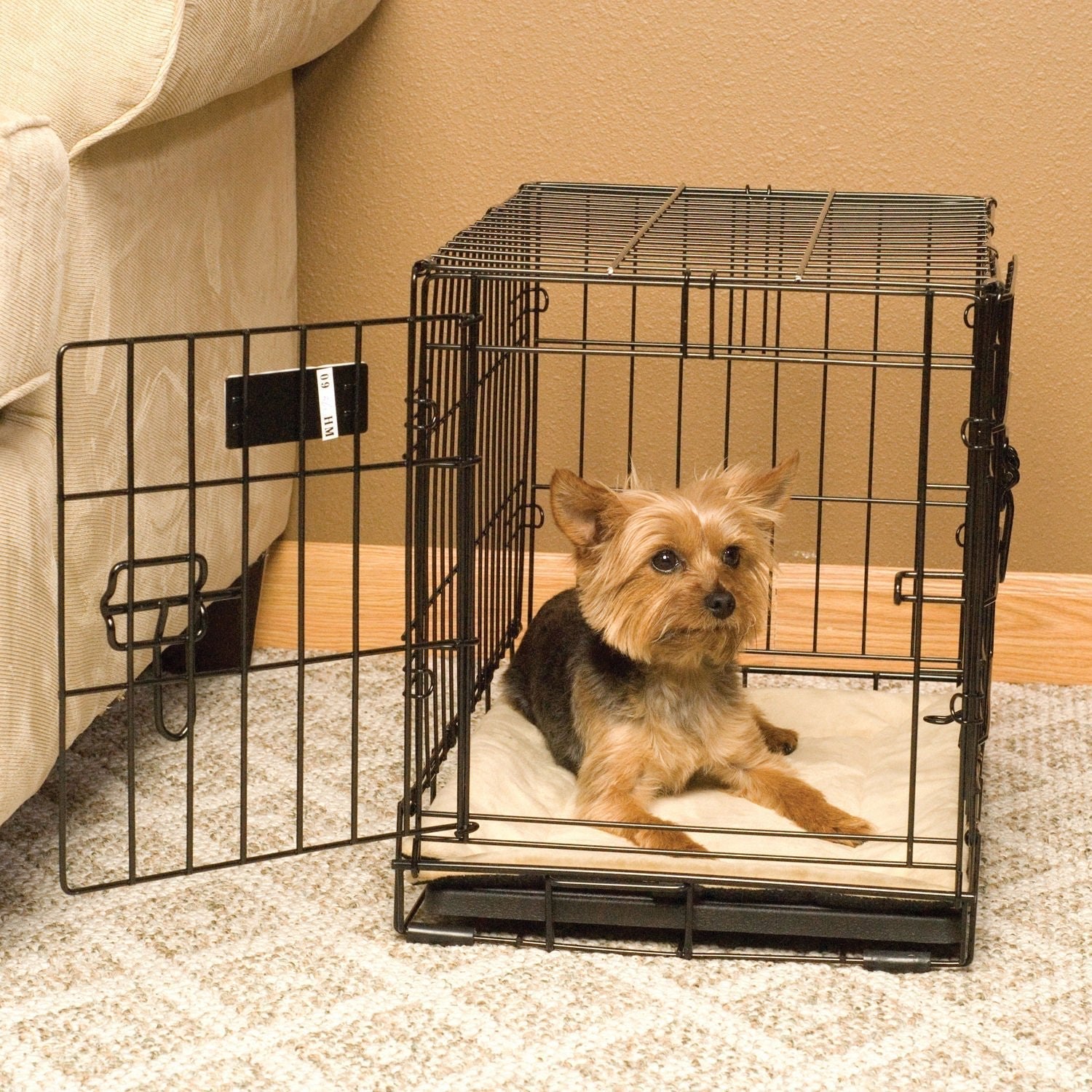 The Ultimate Guide to Choosing the Perfect Crate for Your Dog: Comfort ...